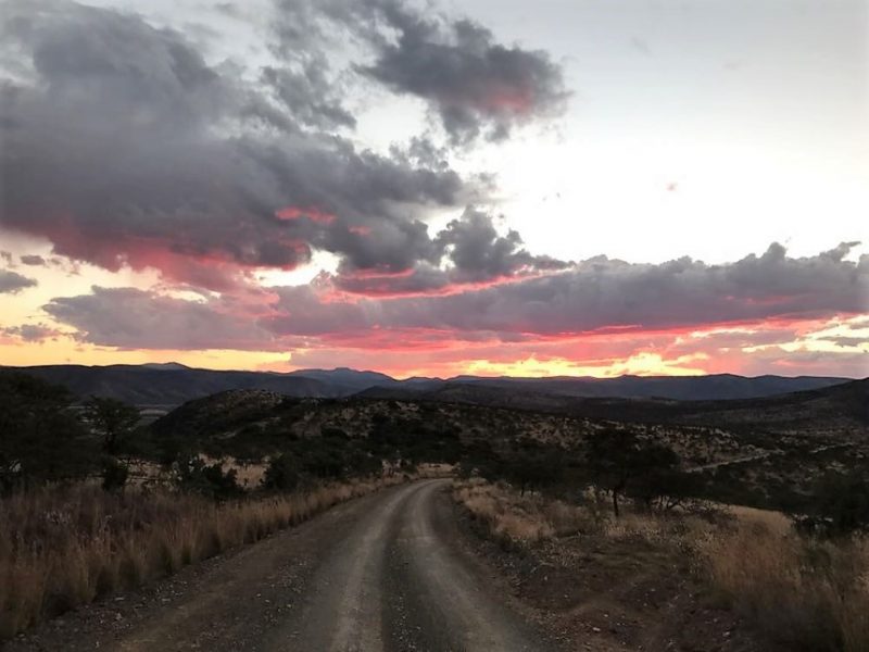 Gallery – Michael Vermaak Boerdery