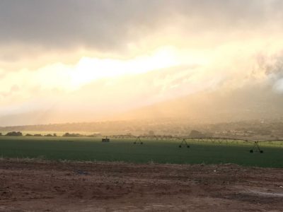Gallery – Michael Vermaak Boerdery