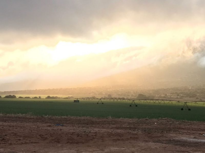 Gallery – Michael Vermaak Boerdery