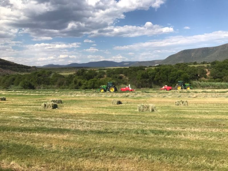 Gallery – Michael Vermaak Boerdery