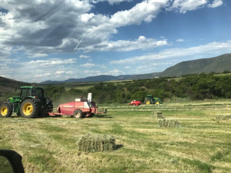 Gallery – Michael Vermaak Boerdery