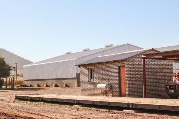 Gallery – Michael Vermaak Boerdery