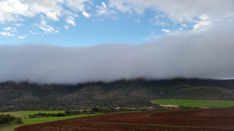 Gallery – Michael Vermaak Boerdery