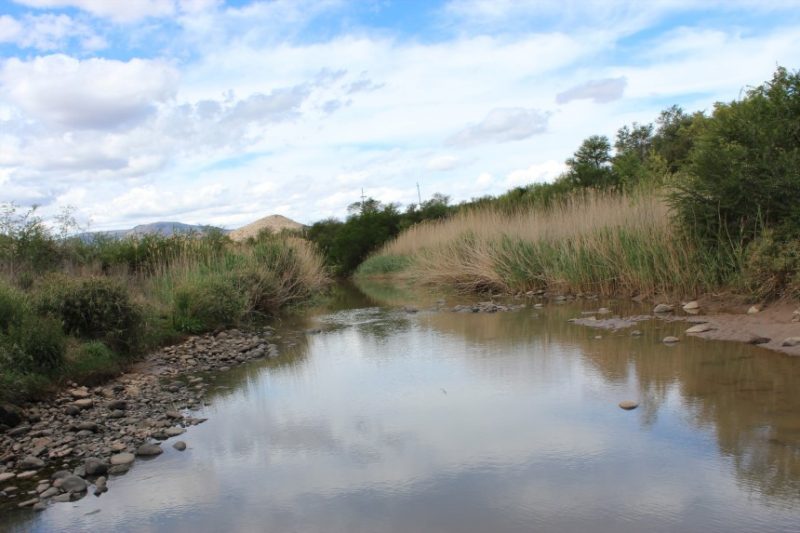 Gallery – Michael Vermaak Boerdery
