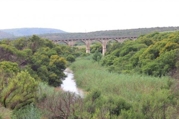Gallery – Michael Vermaak Boerdery
